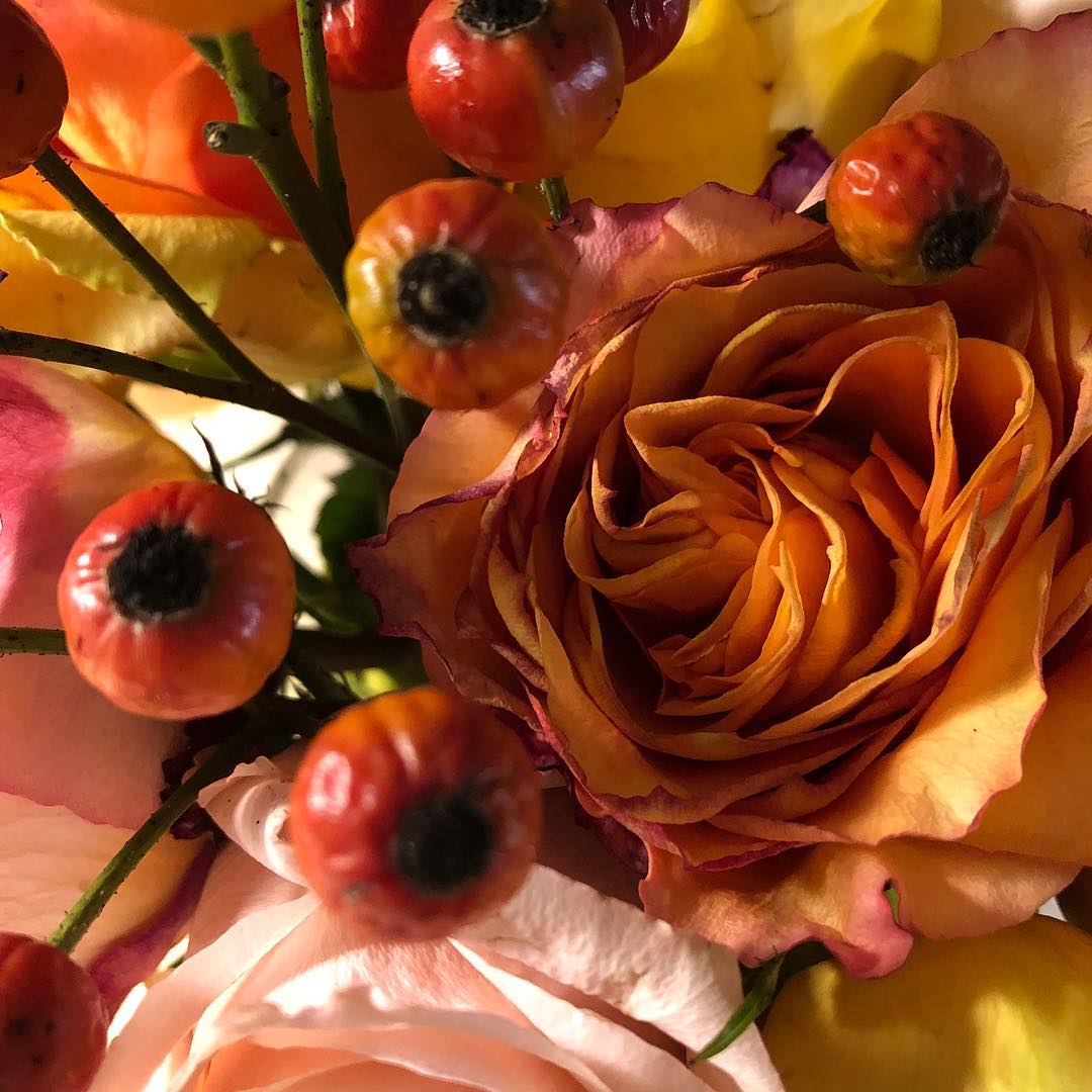 colors of thanksgiving | The Vibrant Channeled Creator